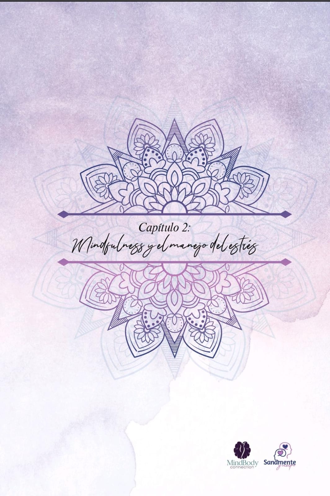 Libro Mindfulness | Sana Mente y Cuerpo